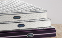 Royal Plush Mattress - Royal Rest